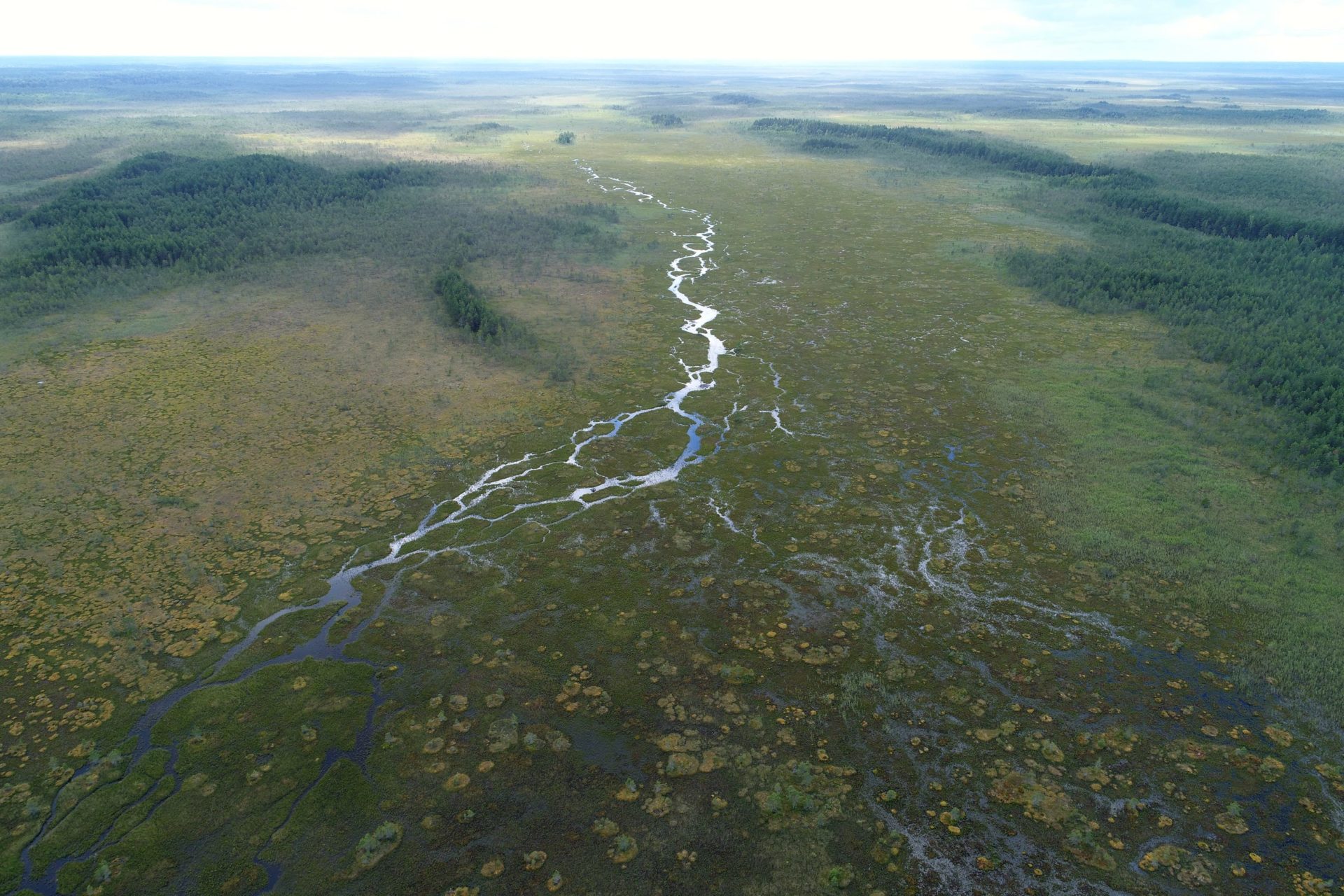 Peatland protection and restoration is gaining momentum in the global ...